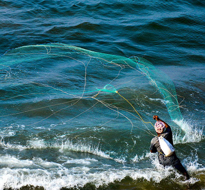 Fishing net, Fishing twine, Fishing line, Rope, Gill net – King Fish